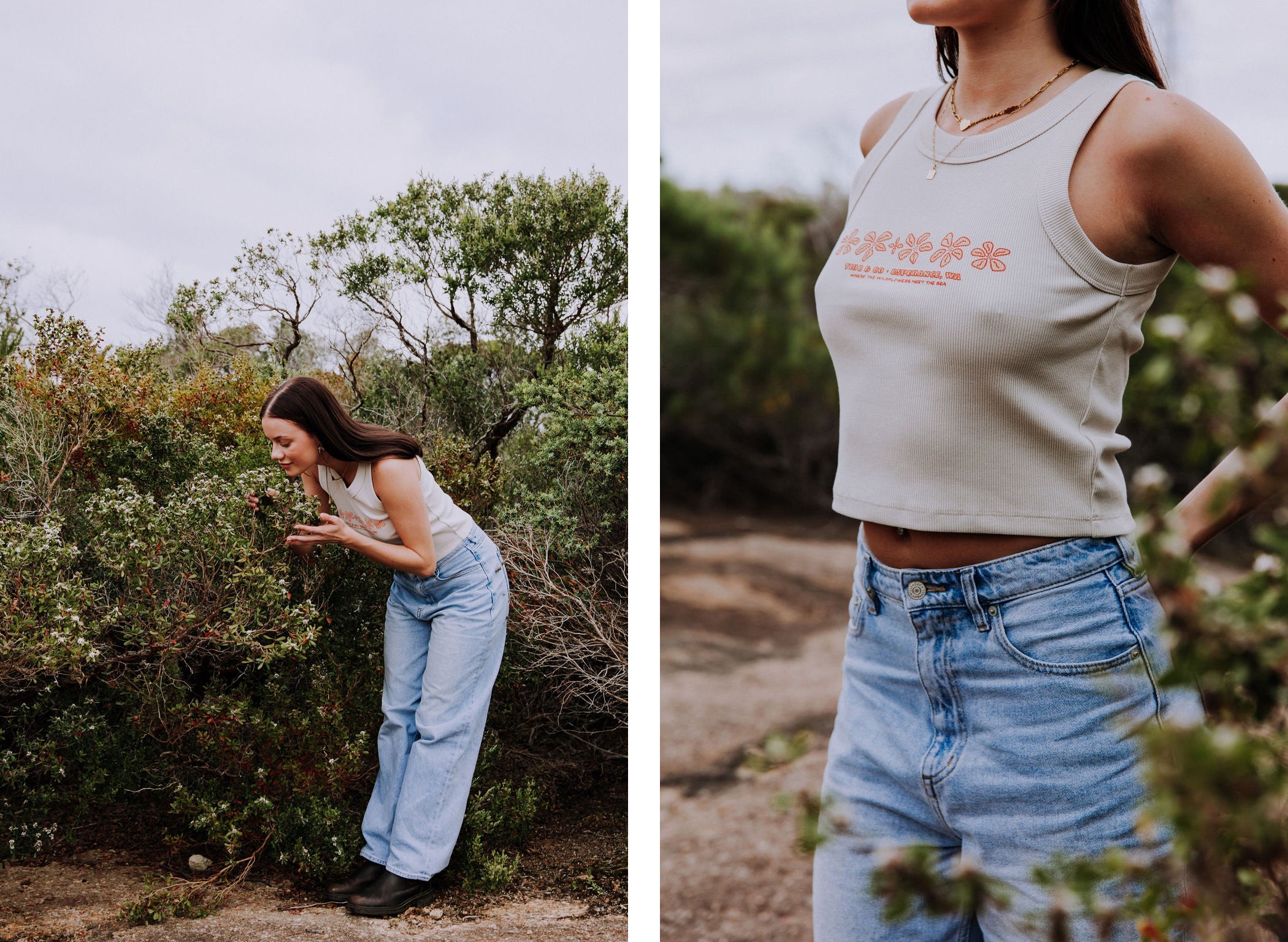 Native Hibiscus – Tide Town