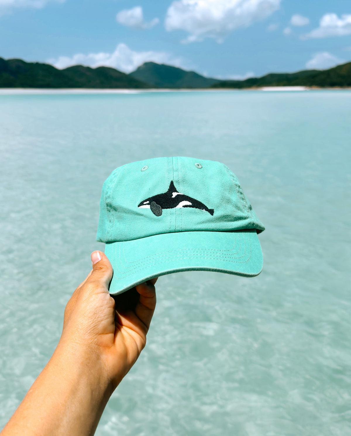 Orca Lid – Tide Town